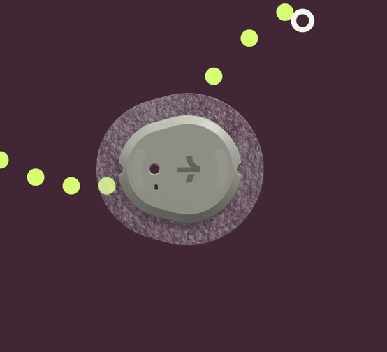 Dexcom- Stelo Glucose Biosensor (CGM) – Functional Medicine Foundations